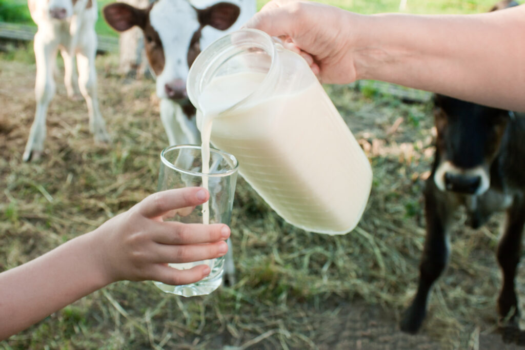 Pennsylvania Issues Raw Milk Warning After Contamination Discovery ...