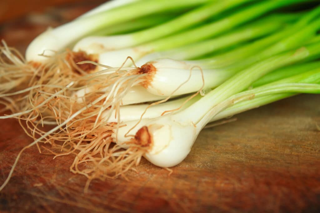 Green Onions Recalled Due to Salmonella | Food Poisoning News