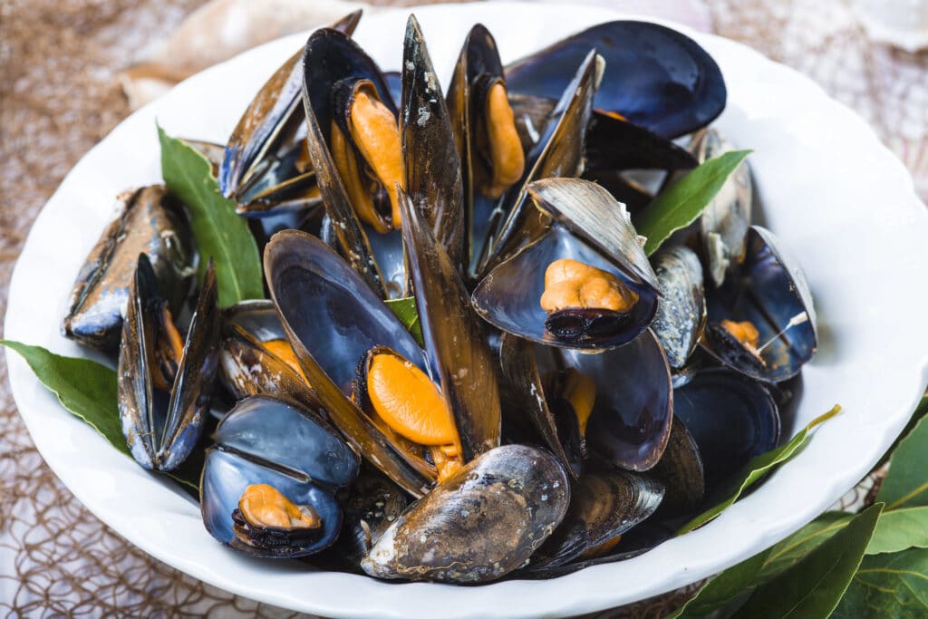 Shellfish Safety: The General Practices that are Employed to Make ...