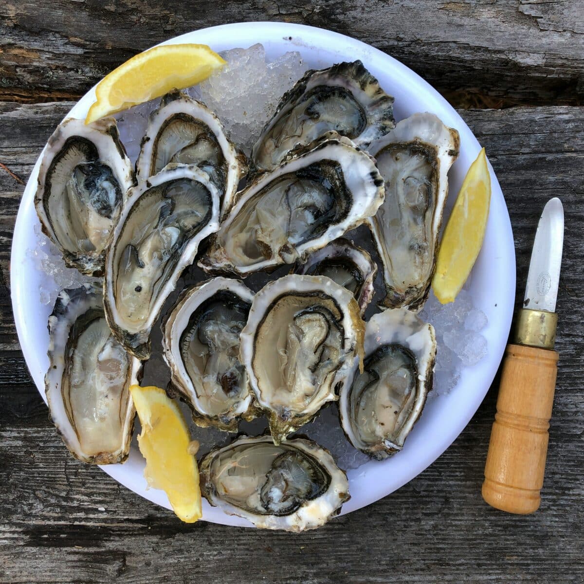 Health Alert for Certain Frozen, Raw, Half-shell Oysters Due to ...