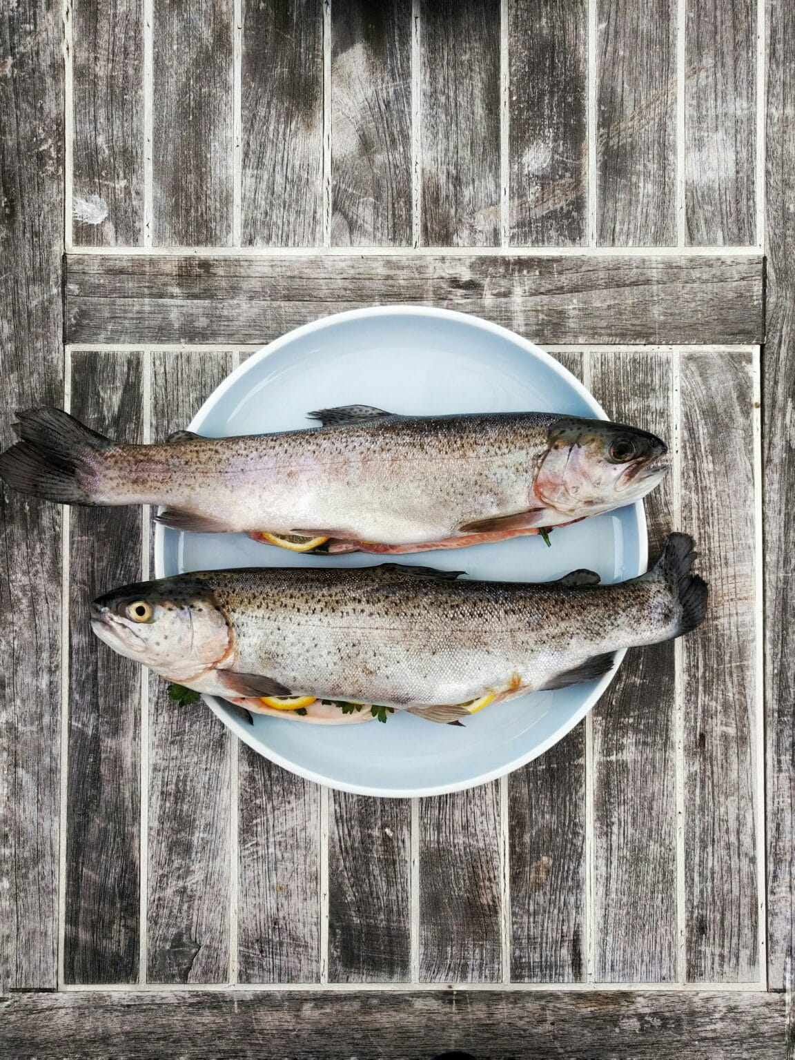 When Fresh Fish Turns Toxic: Understanding Scombroid Poisoning | Food ...