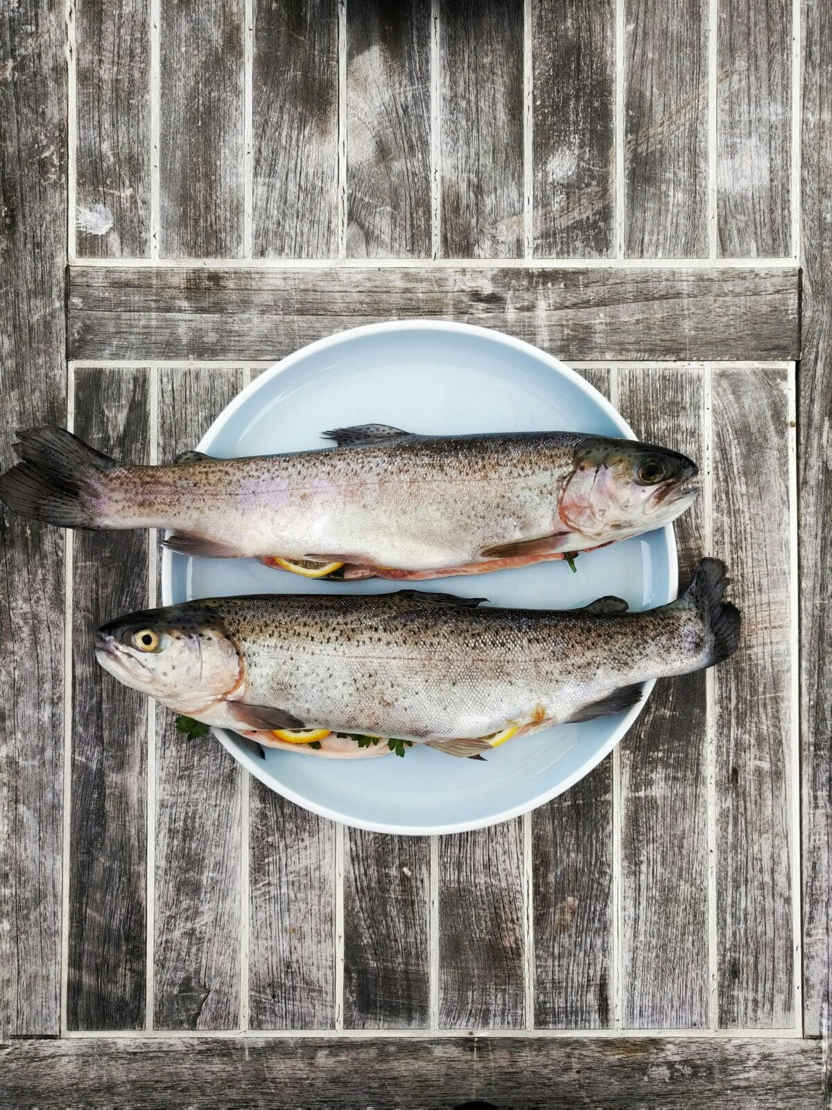 When Fresh Fish Turns Toxic: Understanding Scombroid Poisoning | Food ...