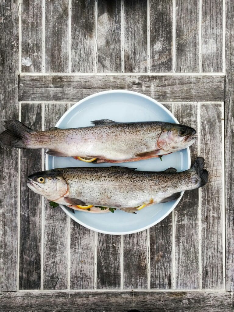 When Fresh Fish Turns Toxic: Understanding Scombroid Poisoning | Food ...
