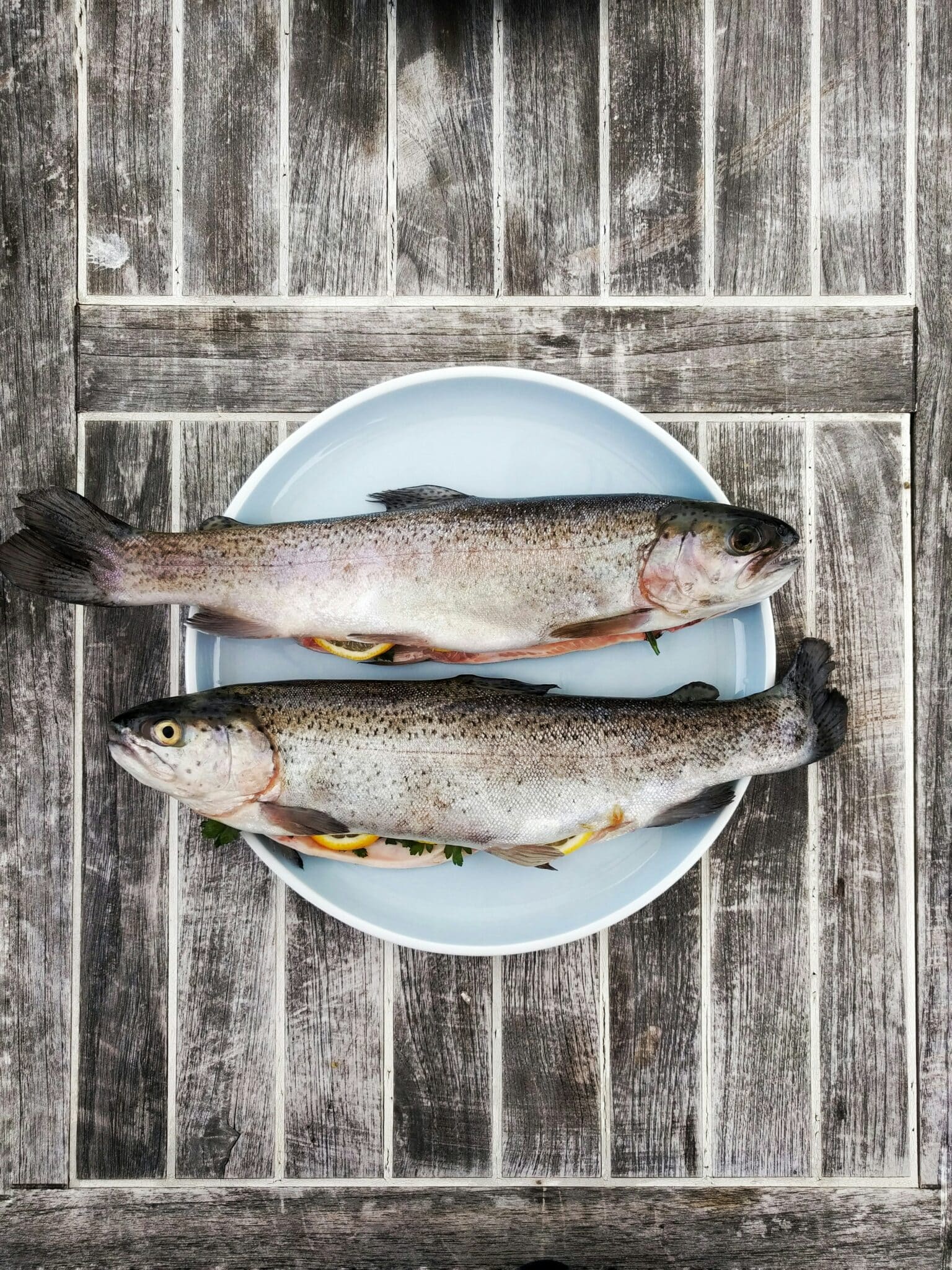 When Fresh Fish Turns Toxic: Understanding Scombroid Poisoning | Food ...