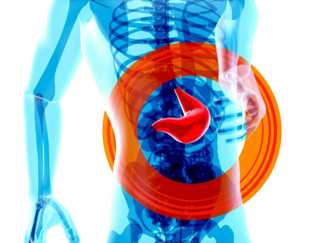 How Heavy Metals in Food Chain Damage Brain and Kidney Health | Food ...