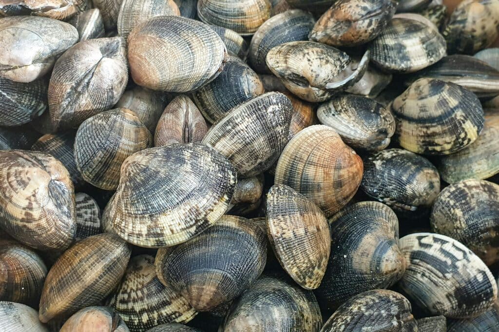 Paralytic Shellfish Poisoning: Causes, Symptoms, and Public Health ...