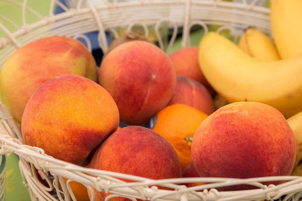 How Pre-Cut Fruit Has Become a Silent Food Poisoning Culprit | Food ...